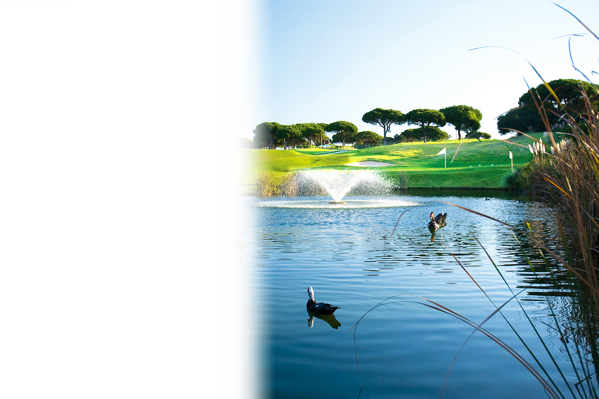 Ombria Golf Course, best deals on green fees, Portugal, Algarve